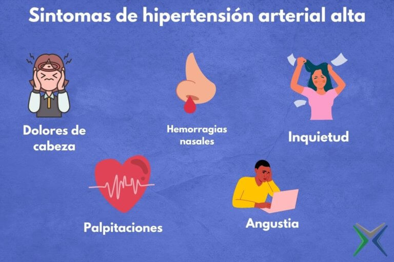 ¿qué Es Y Como Prevenir La Presión Arterial Alta Vdc Internacional Srl